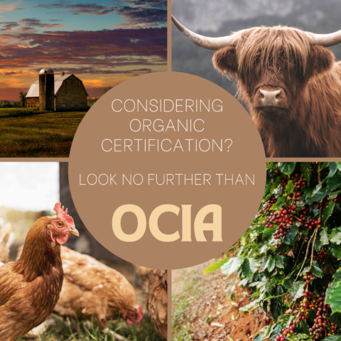 Home – OCIA
