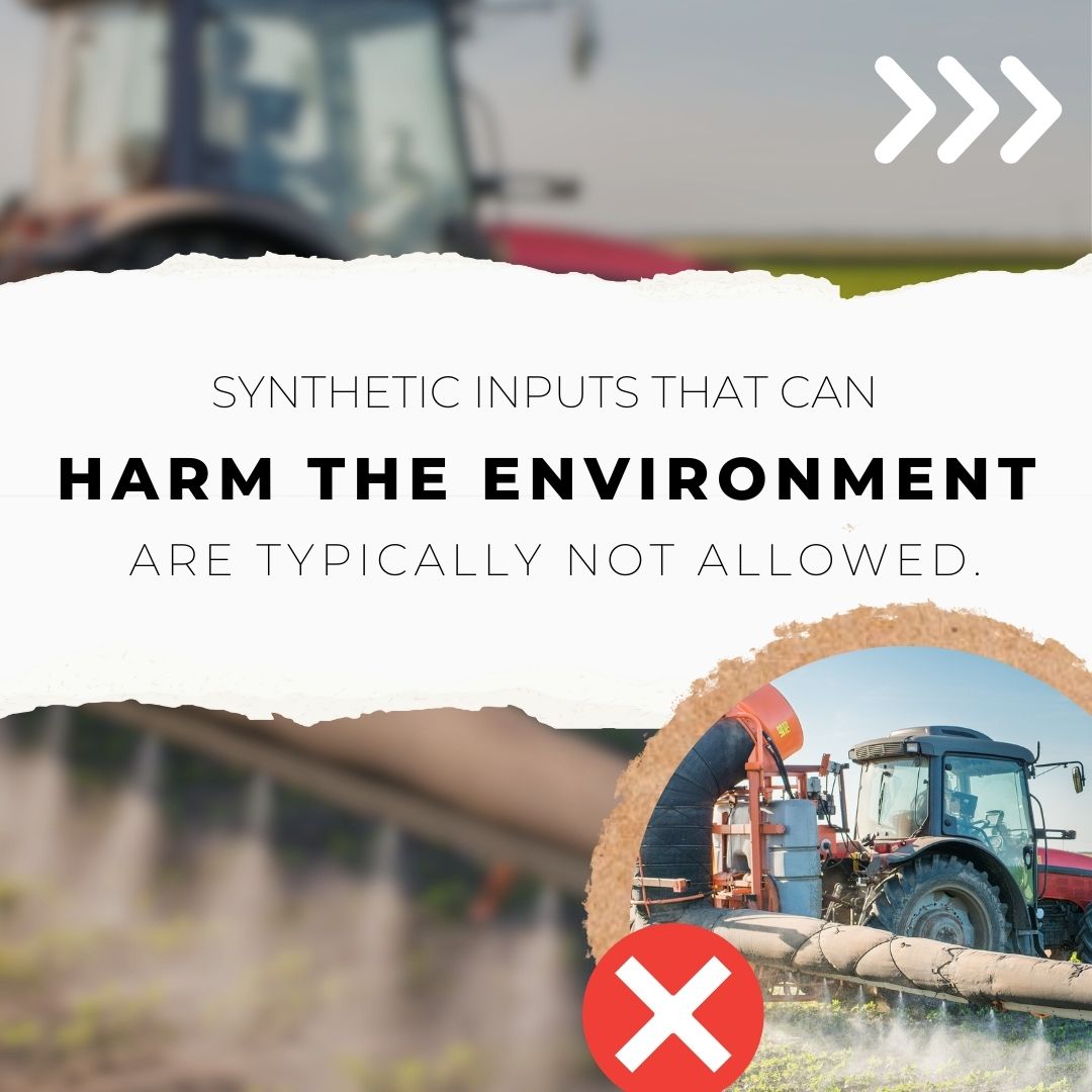 Transition to Organic: The Certification Process – OCIA