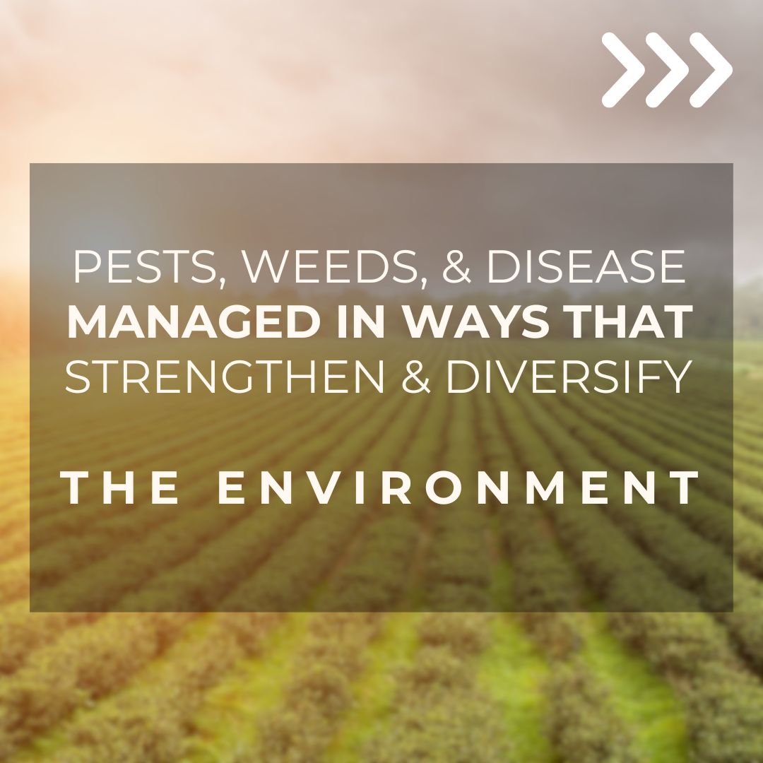 Transition to Organic: The Certification Process – OCIA