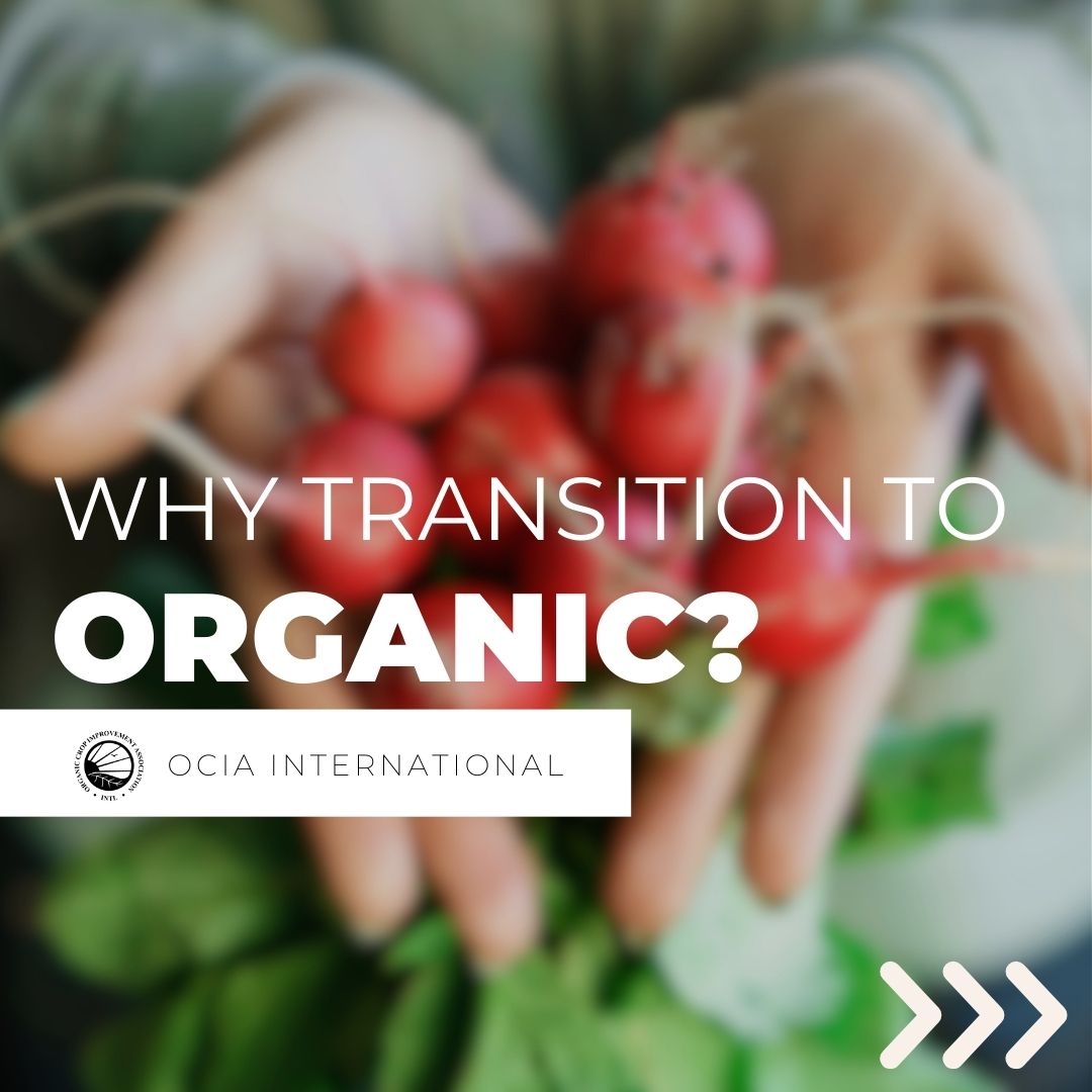 Transition to Organic: The Certification Process – OCIA