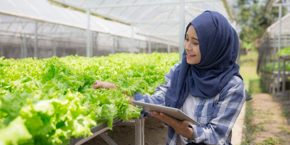 USDA Launches Import Certificate Module in Organic INTEGRITY Database ...