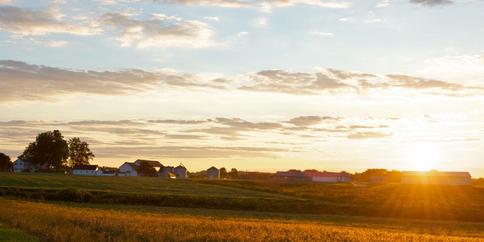 The Organic Certification Process – OCIA